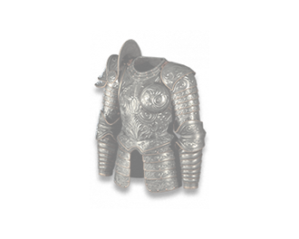 Bramble Sacred Armor - Ethereal | Diablo 2 Item Store – D2ItemStore